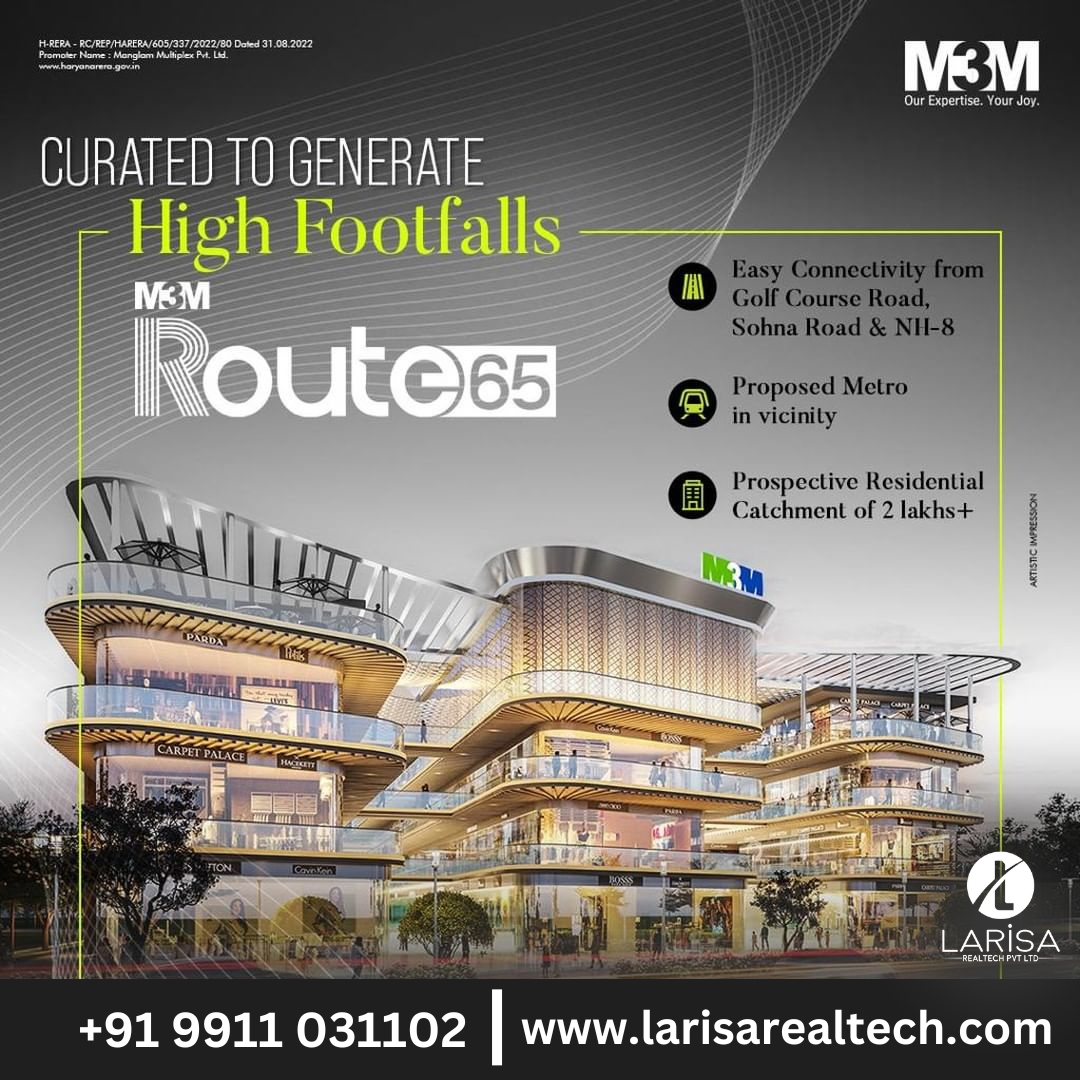 M3M Route 65 - Larisa Realtech - Medium