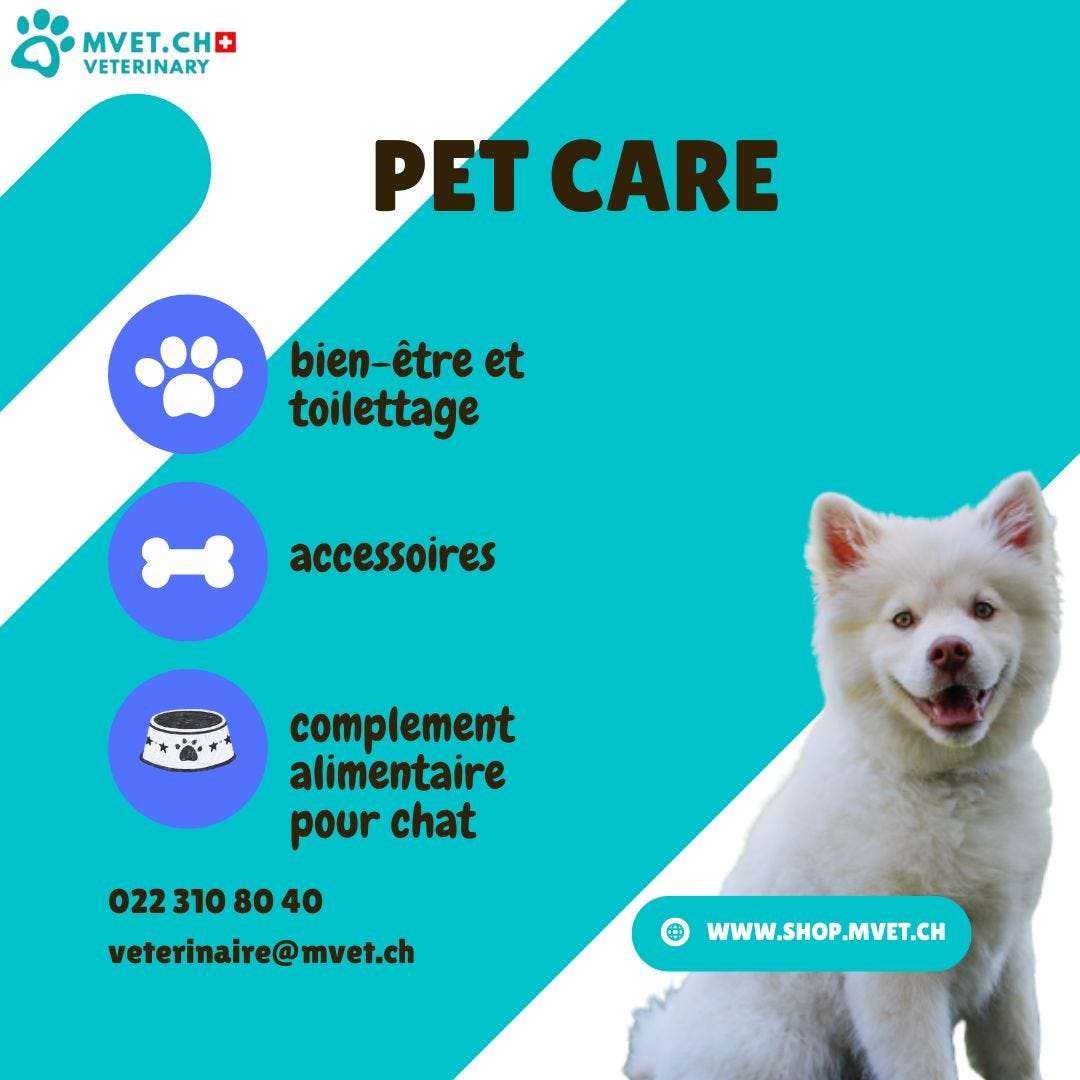 Complement alimentaire pour chat - MVET.CH Veterinary - Medium