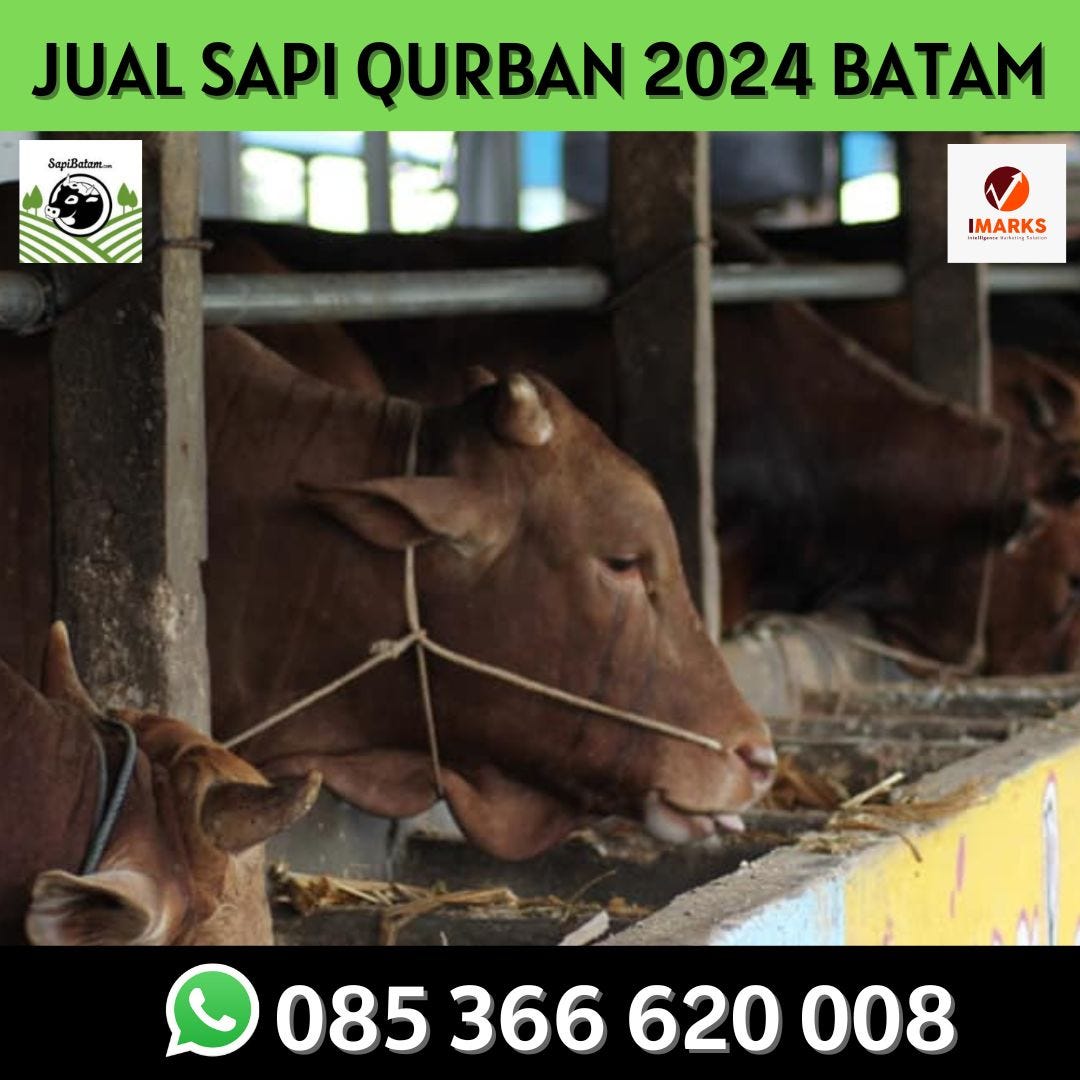 Hub. 0853 6662 0008, Harga Hewan Qurban Ready Stock Batam 2024 Sapi Rahayu | by qurban aqiqah ...