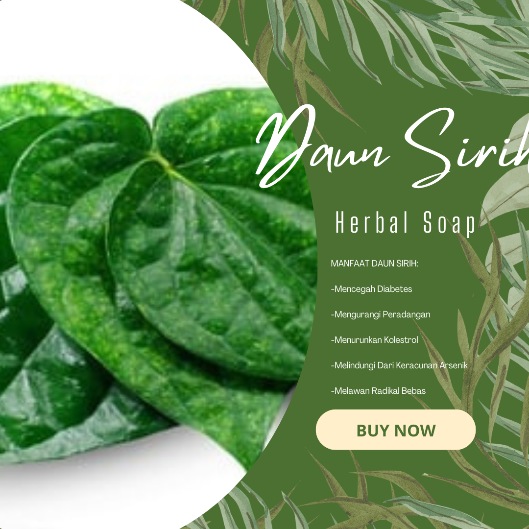 HIGENIS!!, CALL 0813–2868–0537, Pusat Budidaya Herbal Daun Sirih Bisa ...