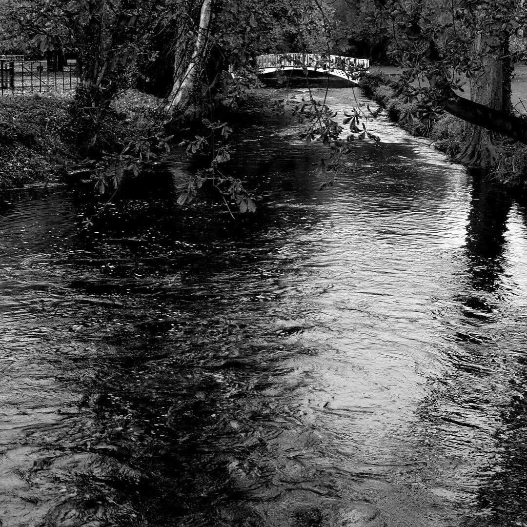 Rage. ‘dark light sweeps a swollen river… | by Sally A Mortemore ...