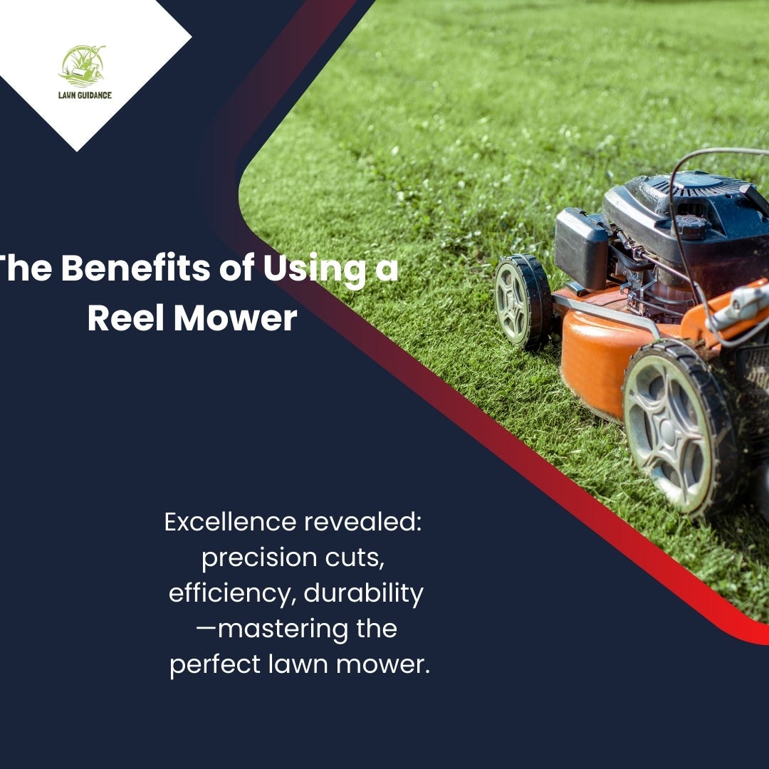 The benefits of using a reel mower - James M. Chew - Medium