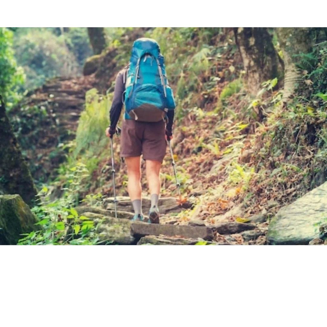 Do Trekking in Andaman with India’s Top Andaman Tour Package Provided ...