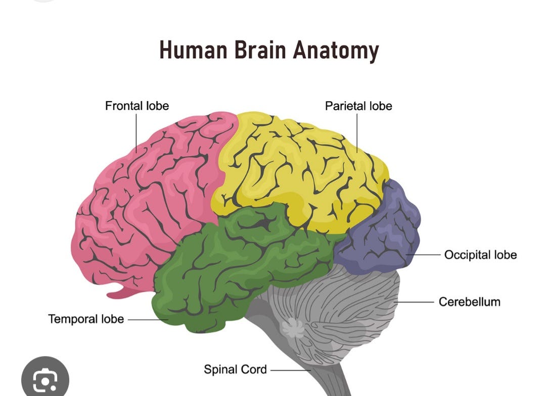 Improving Brain Function.. Brain health | by Uk Uk | Oct, 2024 | Medium