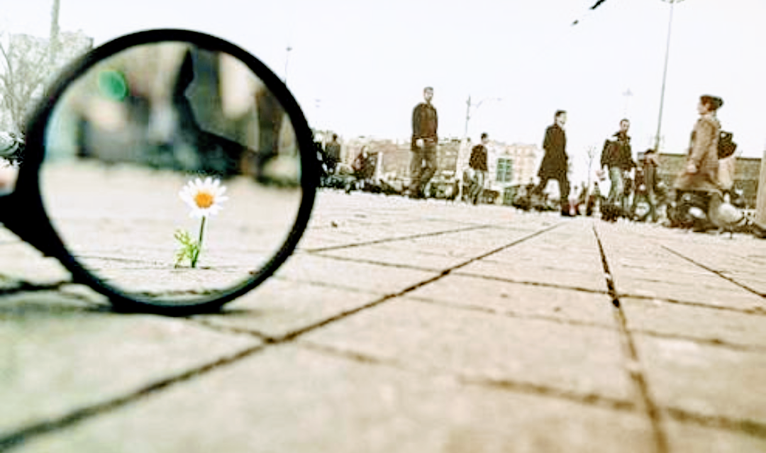 Happiness in little things!!. “The little things? The little moments ...