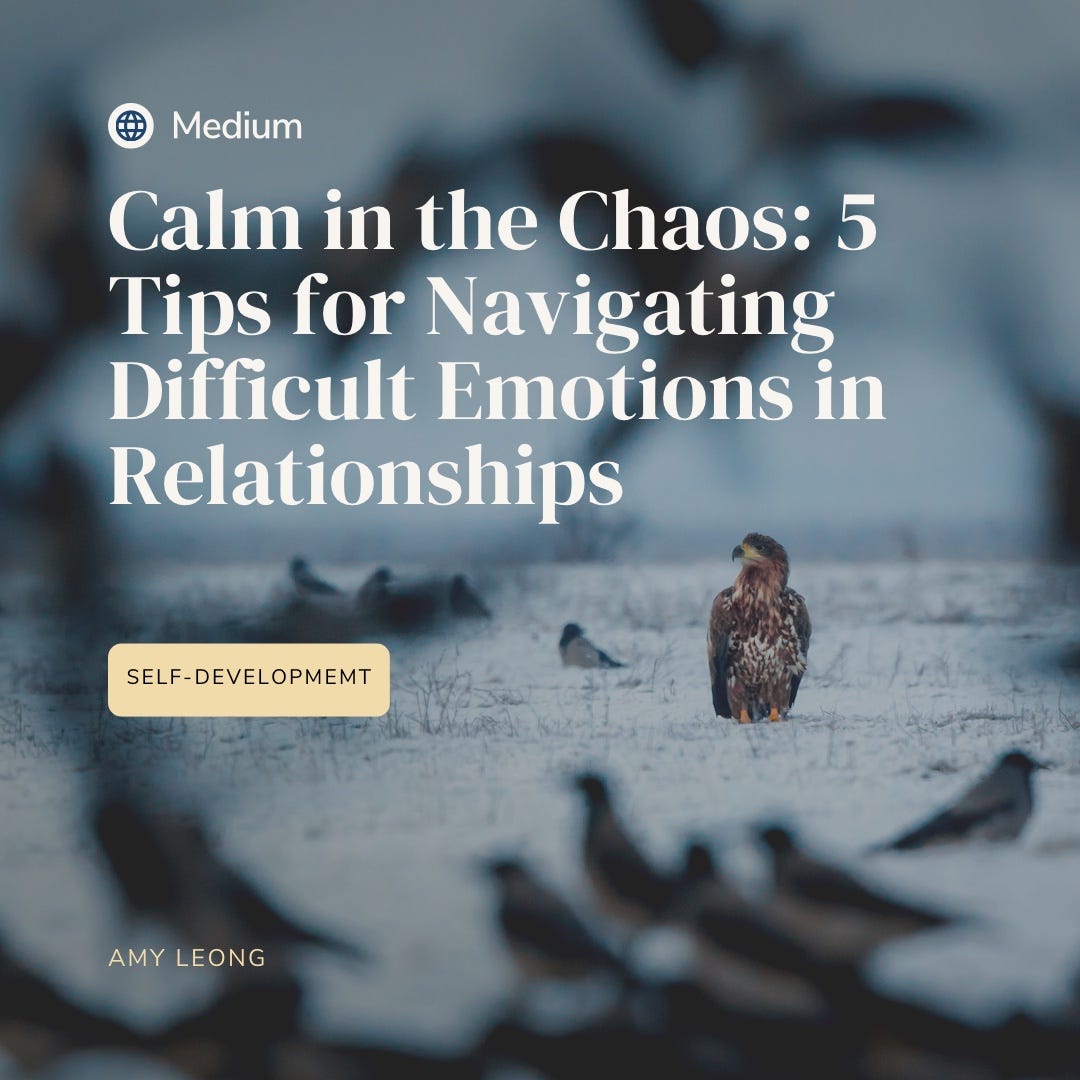 Calm in the Chaos: 5 Tips for Navigating Difficult Emotions in ...