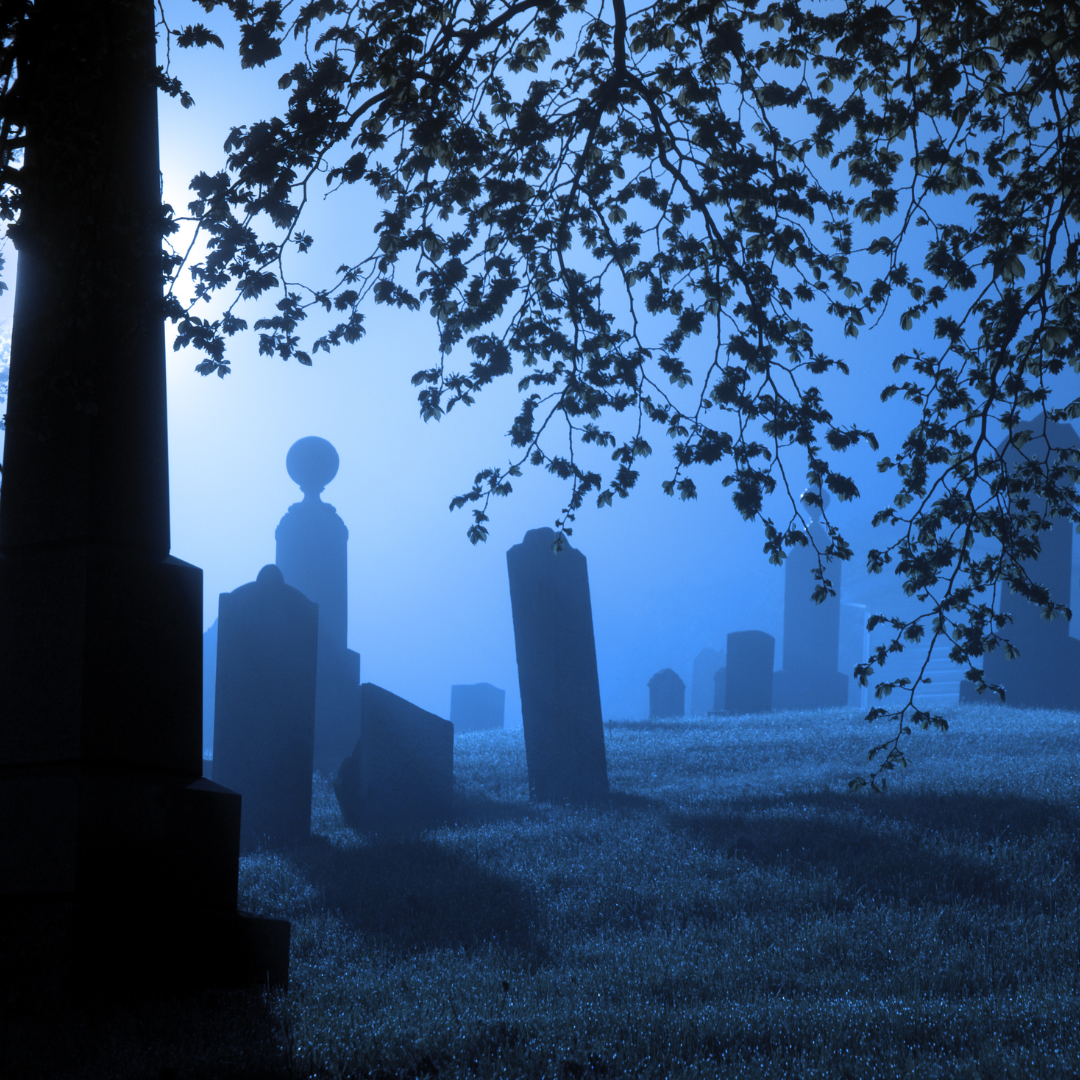 I Grieve the Art – A Poem. I grieve the art…. | by Ellie Bee 🐝 | May ...