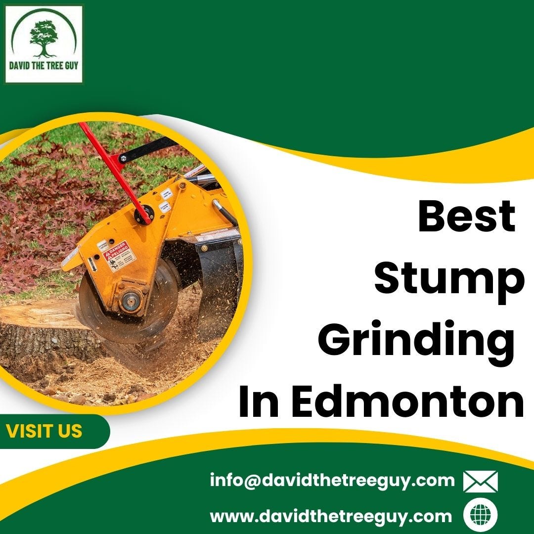 Best Stump grinding in Edmonton - David The Tree Guy - Medium