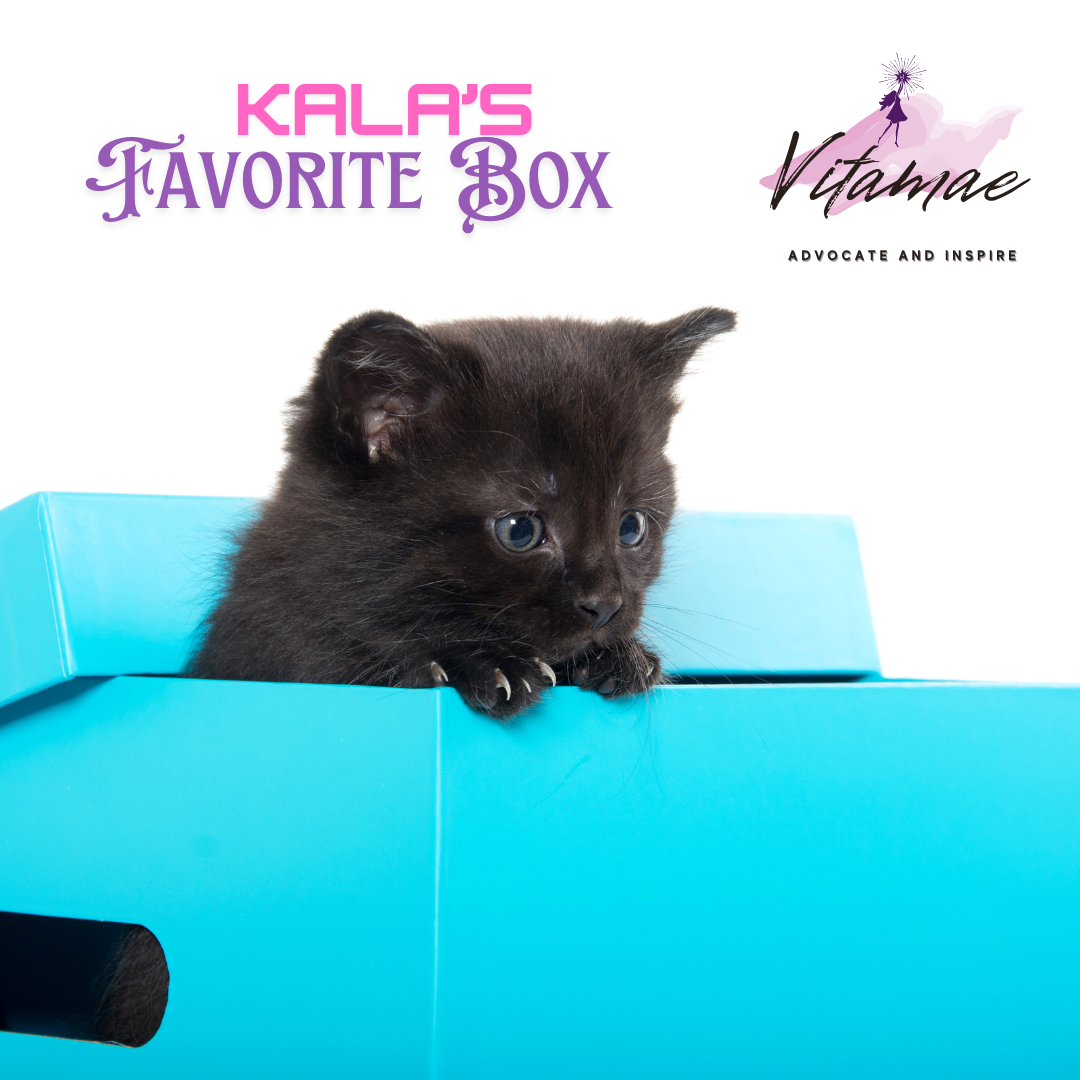 Catatale #2 Kala’s Favorite Box. Cat toys are fun, but boxes are even ...