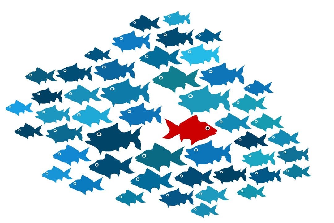 Outlier Detection & Removal in Python | by Chandan Sengupta | GoPenAI Outlier Detection & Removal in Python | by Chandan Sengupta | GoPenAI