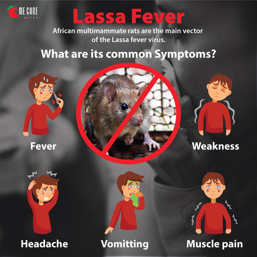 Lassa Fever : Situation in Nigeria | by Minoti Dighe Gadre | MeCure Healthcare | Medium