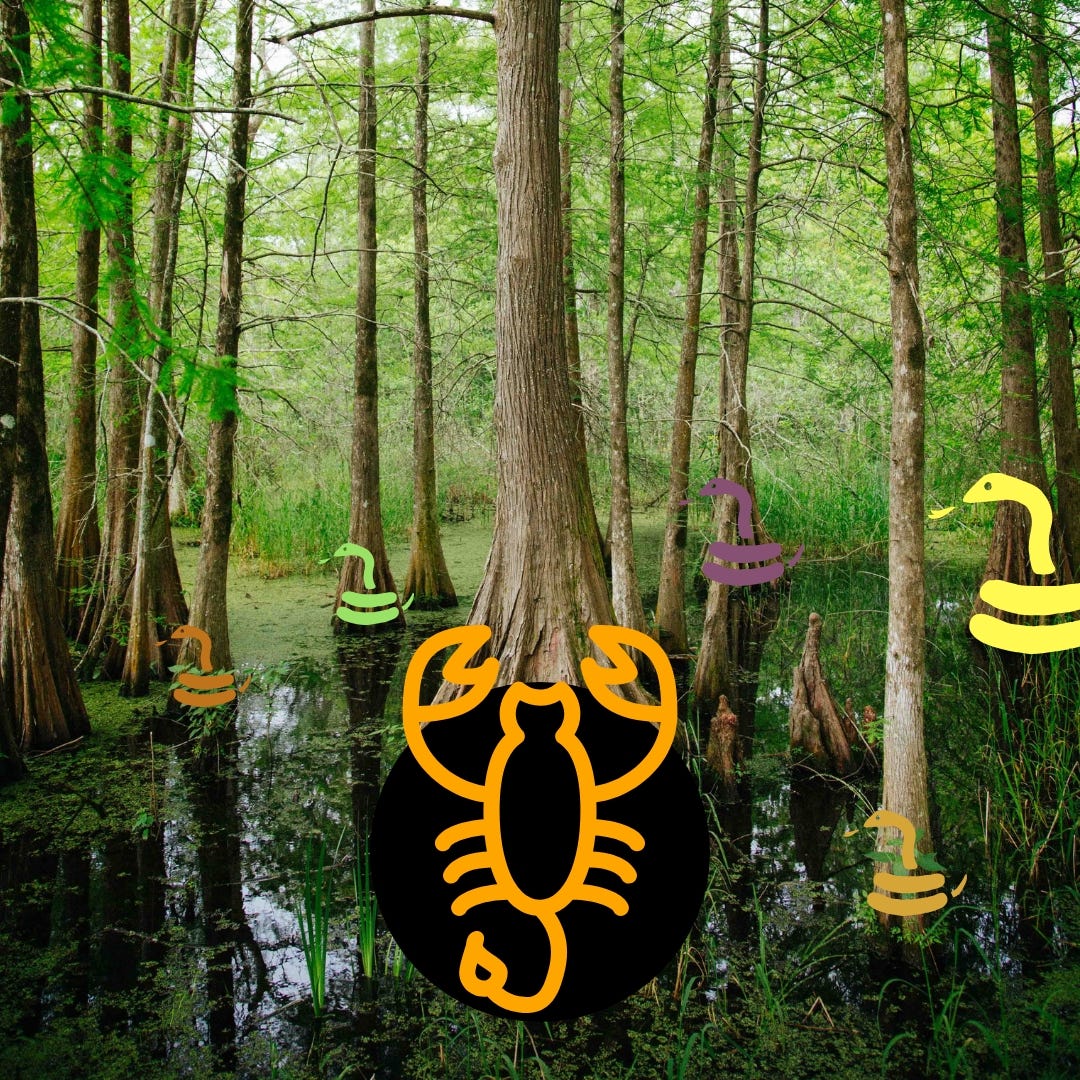 Let Your Soul Determine the Pace & Inhabiting the Murky Place: A ...