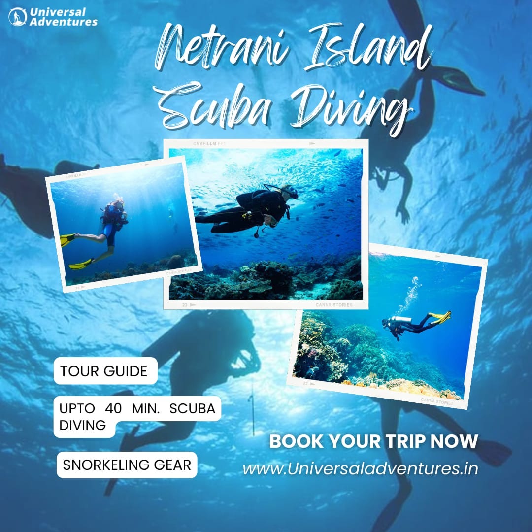 Netrani Island Scuba Diving: Feel the Wonder of Capturing the ...