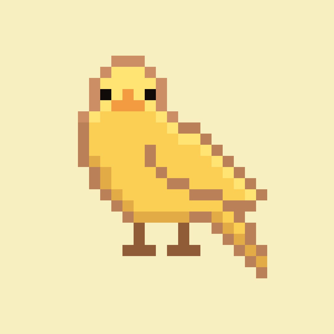 The Story of $BERB. The tale of Berb, Polly, Einstein, and… | by BERB ...