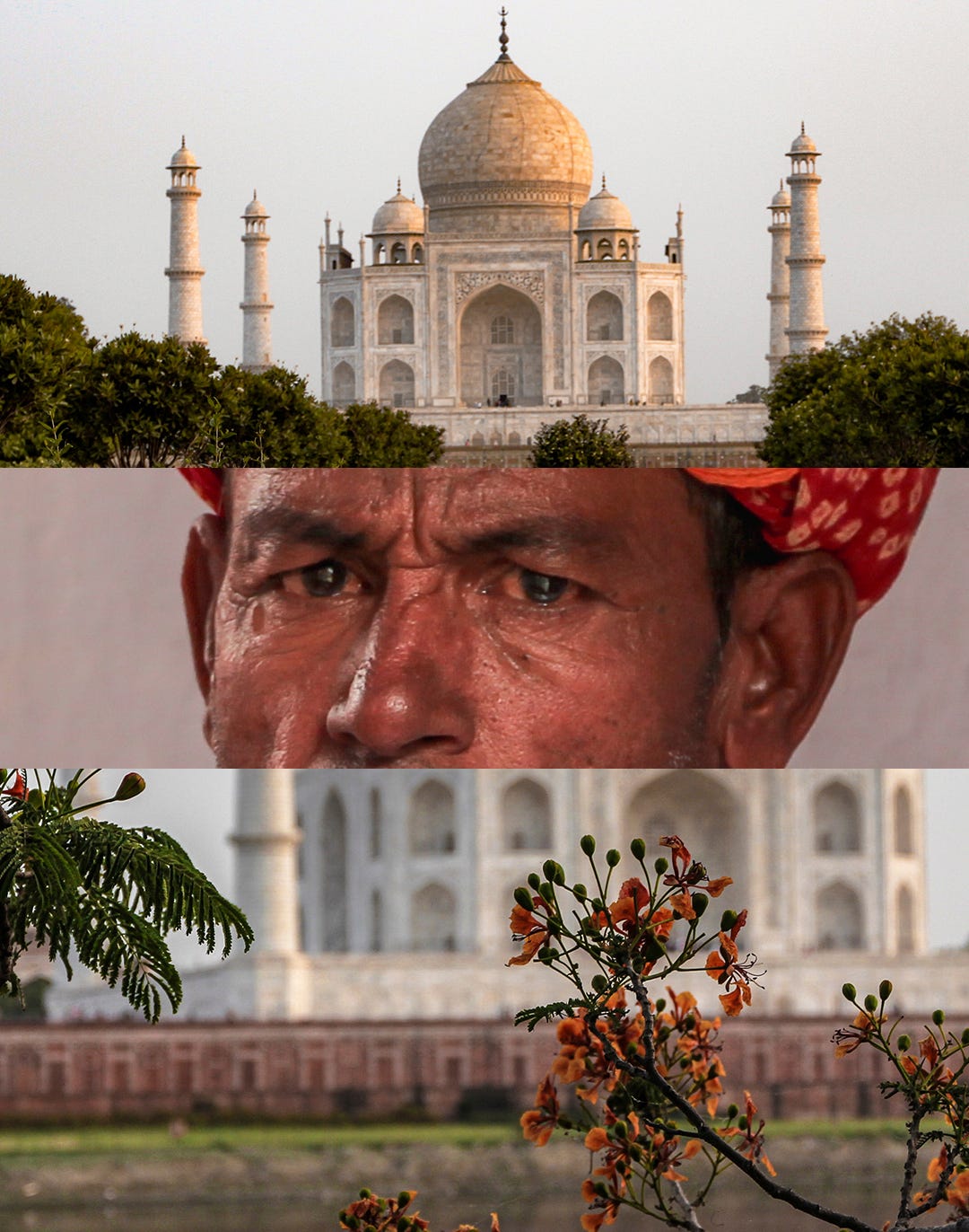 Exploring India’s Majestic Taj Mahal: Tips for Photographers | by Jesus ...