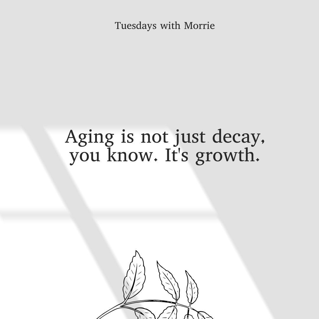 Tuesdays with Morrie : A gem from the bookshelf | by Ria Arora | Medium
