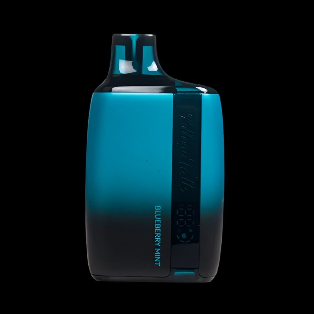 Buy Disposable Vape Blueberry Mint — Pillow Talk 8500 in USA $14.99 ...
