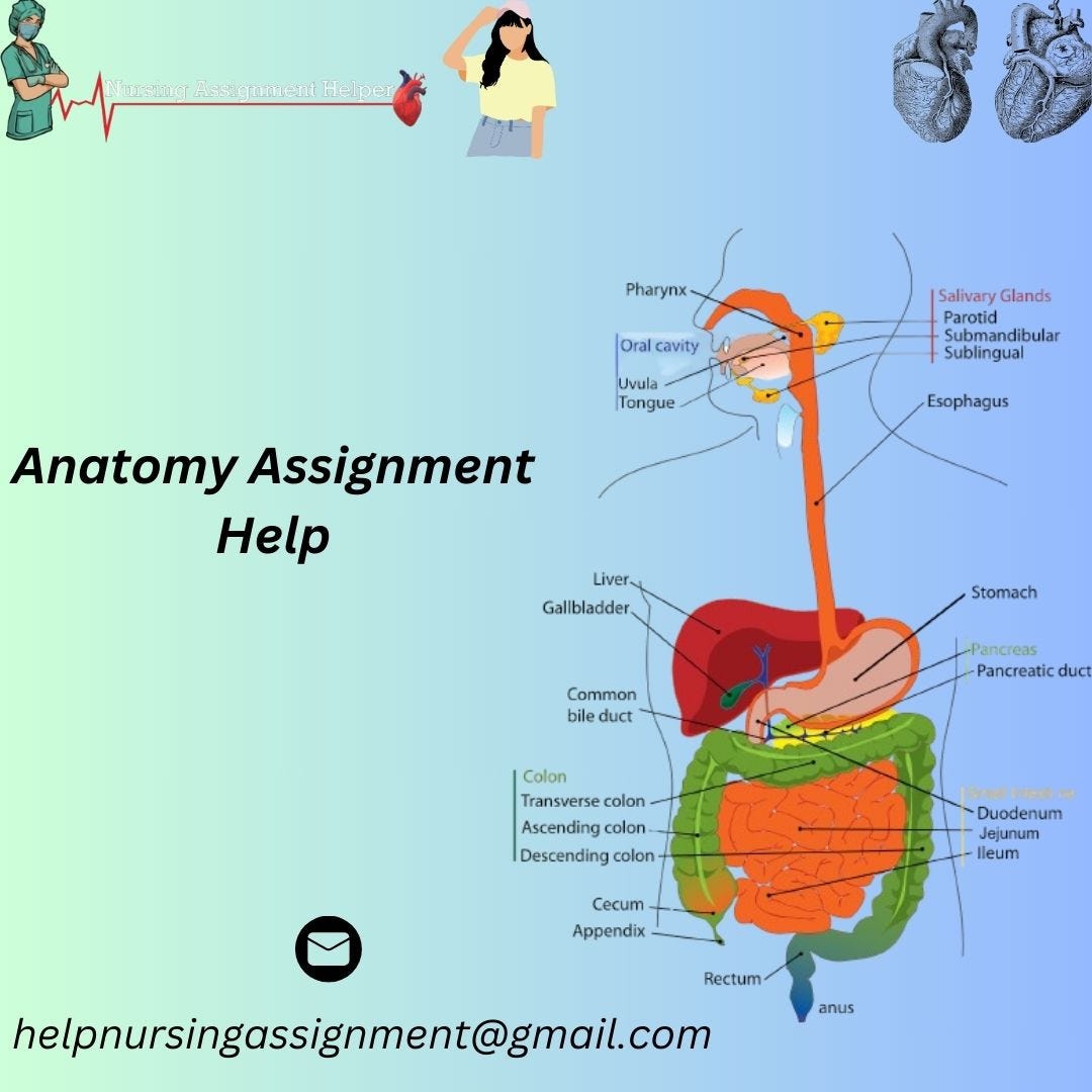 Anatomy Assignment Help: Your Academic Lifesaver | by Nursing ...