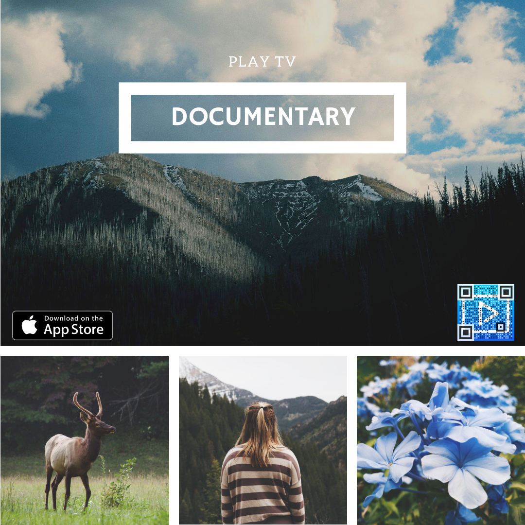 PLAY TV. PLAY TV ดาวน์โหลดได้ที่… | by Play Tv | Medium