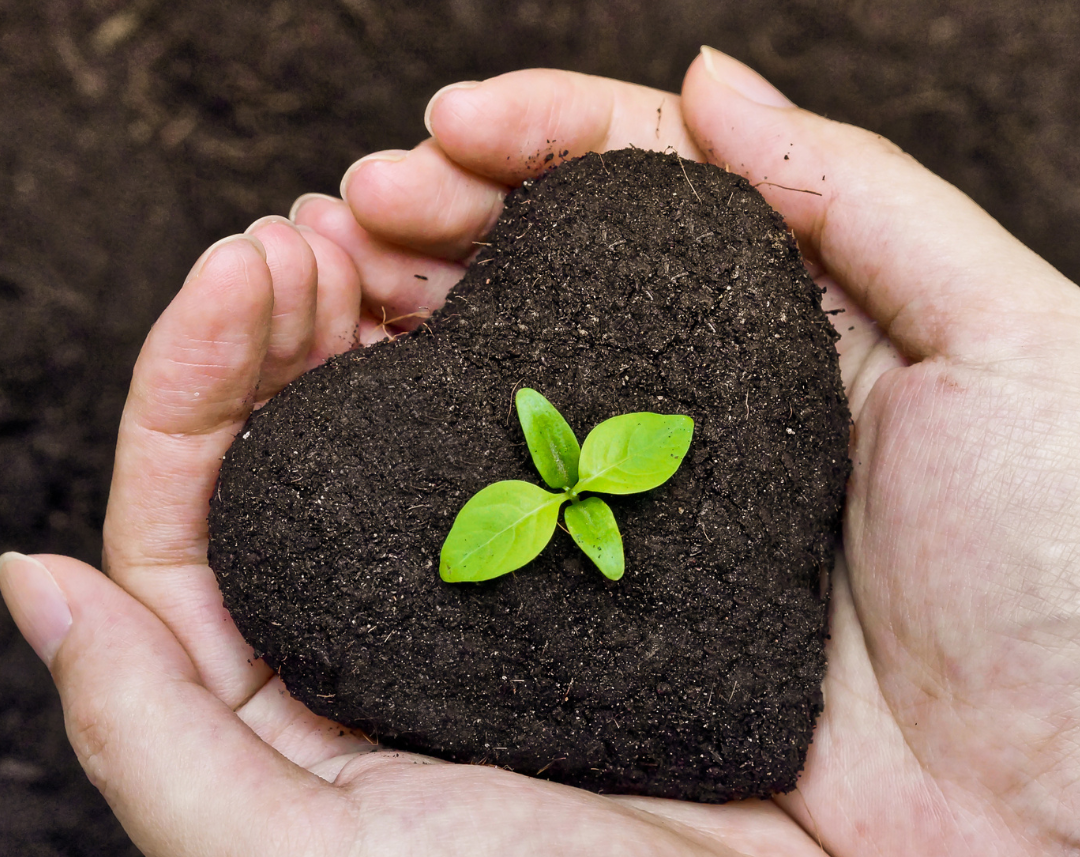 One Of The Most Important Phases in Business: When You Do A Lot, But ...