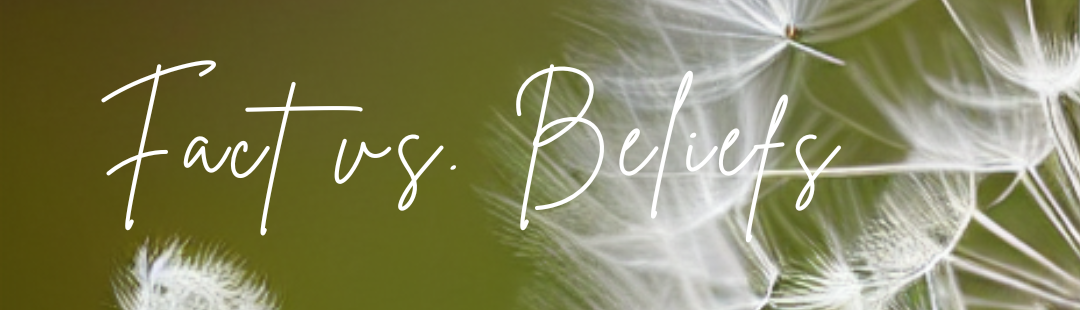 Fact Vs. Beliefs. What is FACT and/or Truth? | by Mindy Bolgrin ...