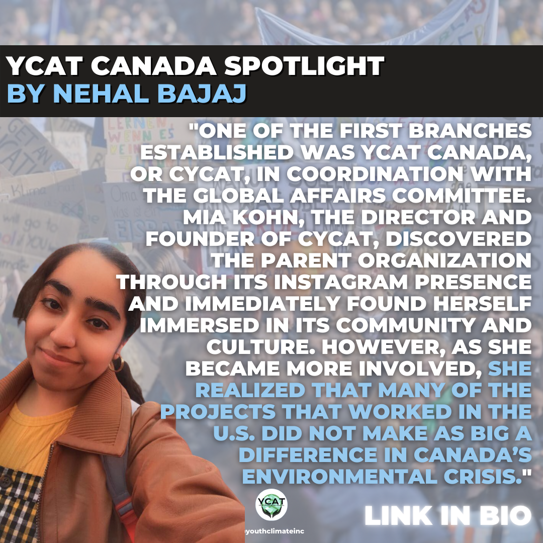 YCAT Canada Spotlight. In September 2021, Youth Climate Action… | by ...