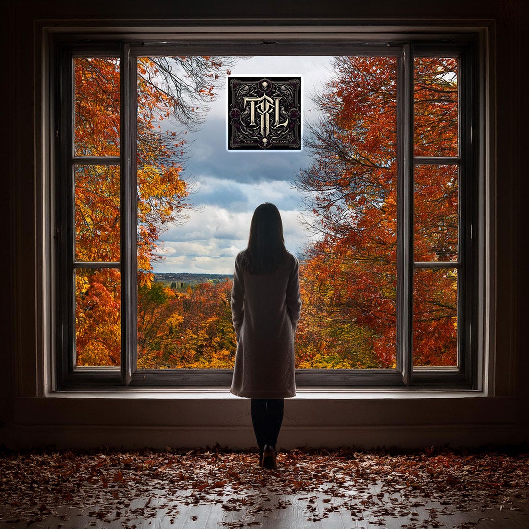 Through a Window Darkly. A haibun journey through depression and… | by ...