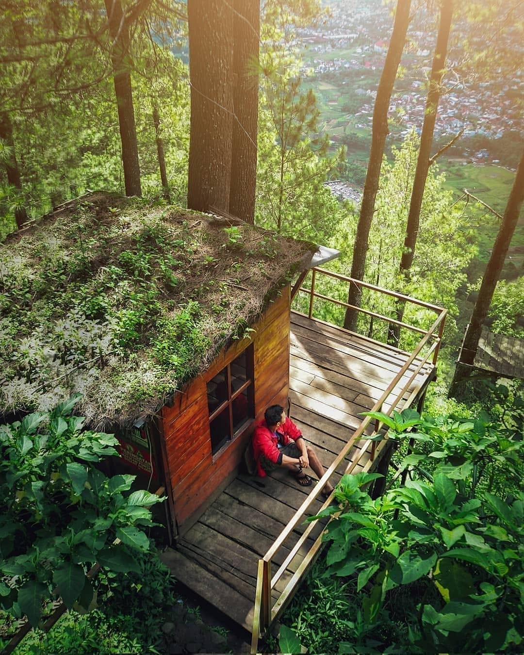 Omah Kayu & Bukit Langit Taman Di Ketinggian Yang Memukau Karena ...