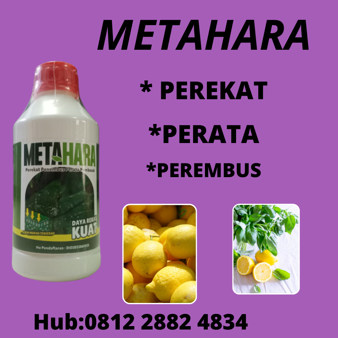 ALAMI! 0812–2882–4834 Pusat Perekat Fungisida Terbaik Bangil ...