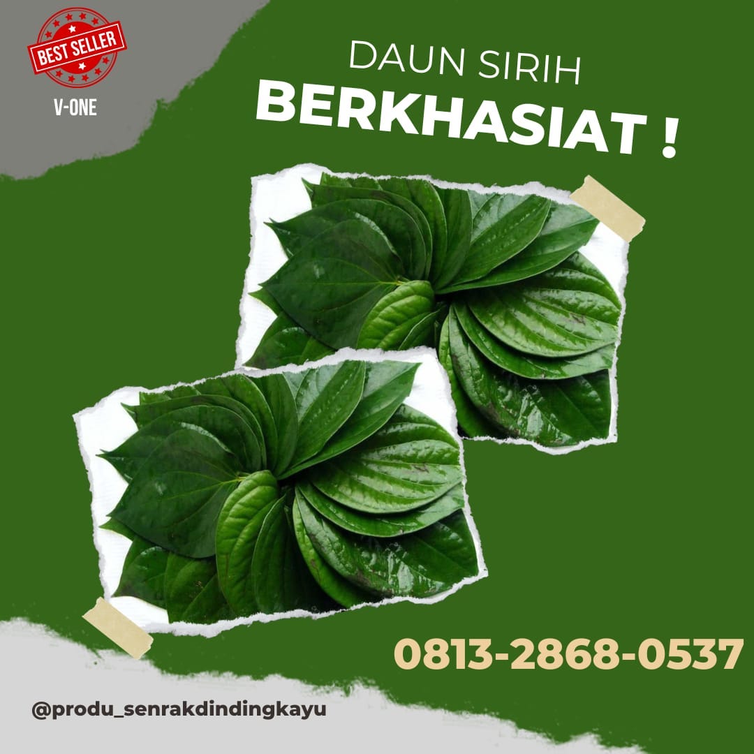 Pusat Budidaya Herbal Daun Sirih Alami Tambak Bayumas ...