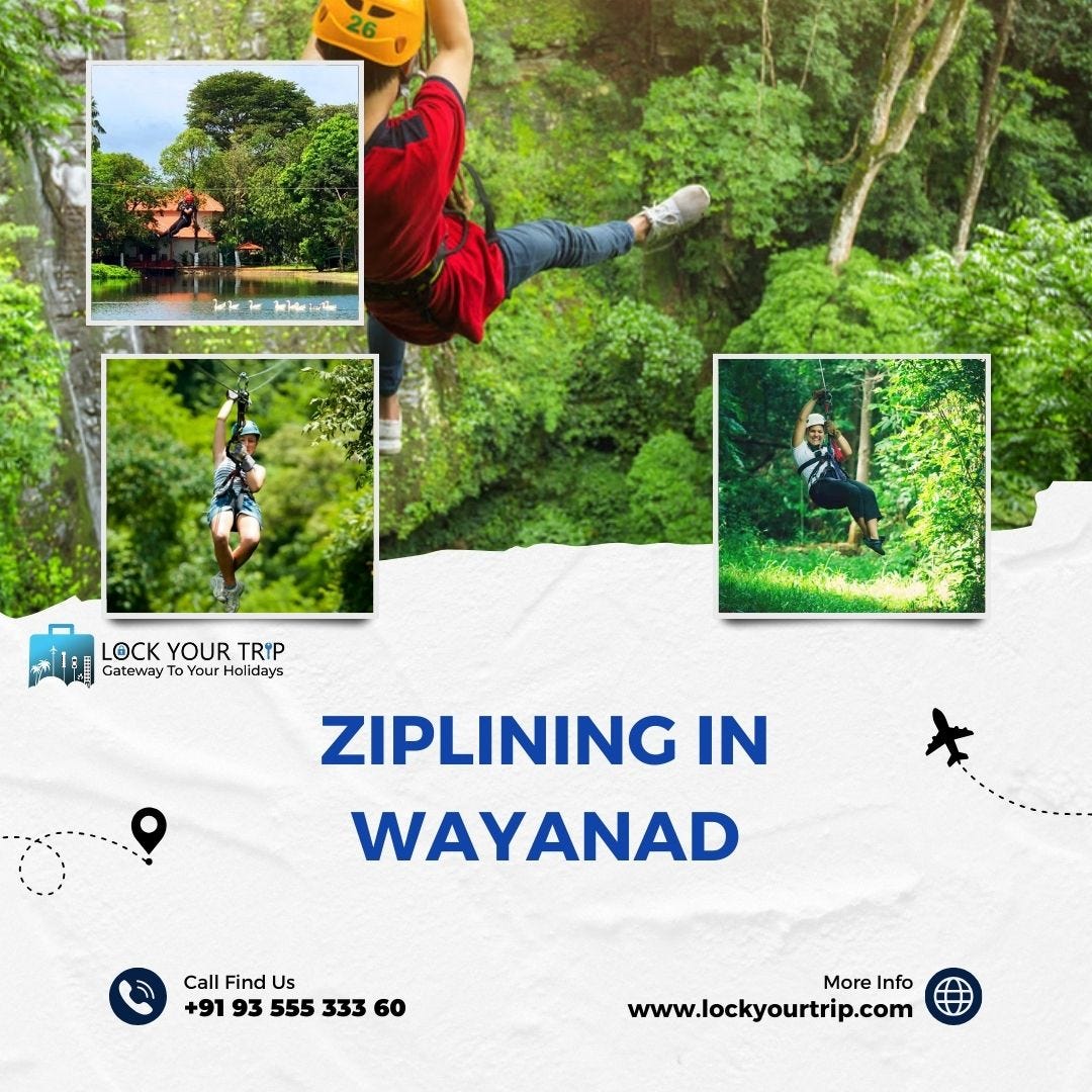 Ziplining in Wayanad: An Epic Adventure Amidst Nature’s Paradise | by ...