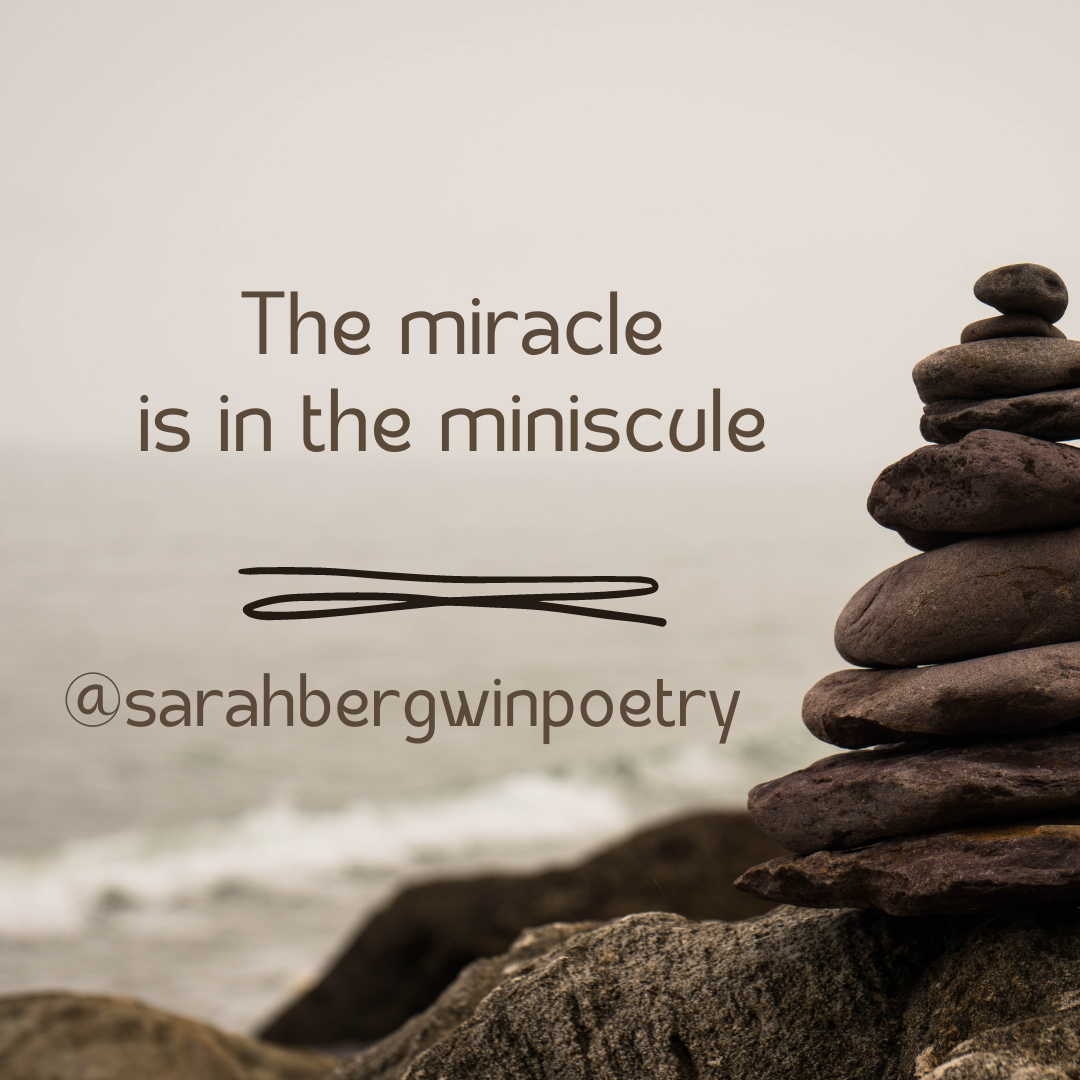 The Miracle is in the Miniscule - Sarah Bergwin - Medium