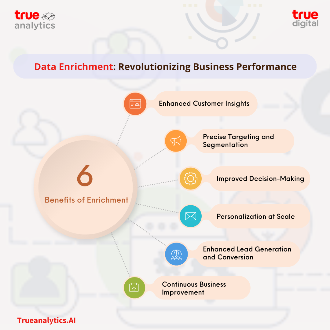 Data Enrichment: Revolutionizing Business Performance | by True ...