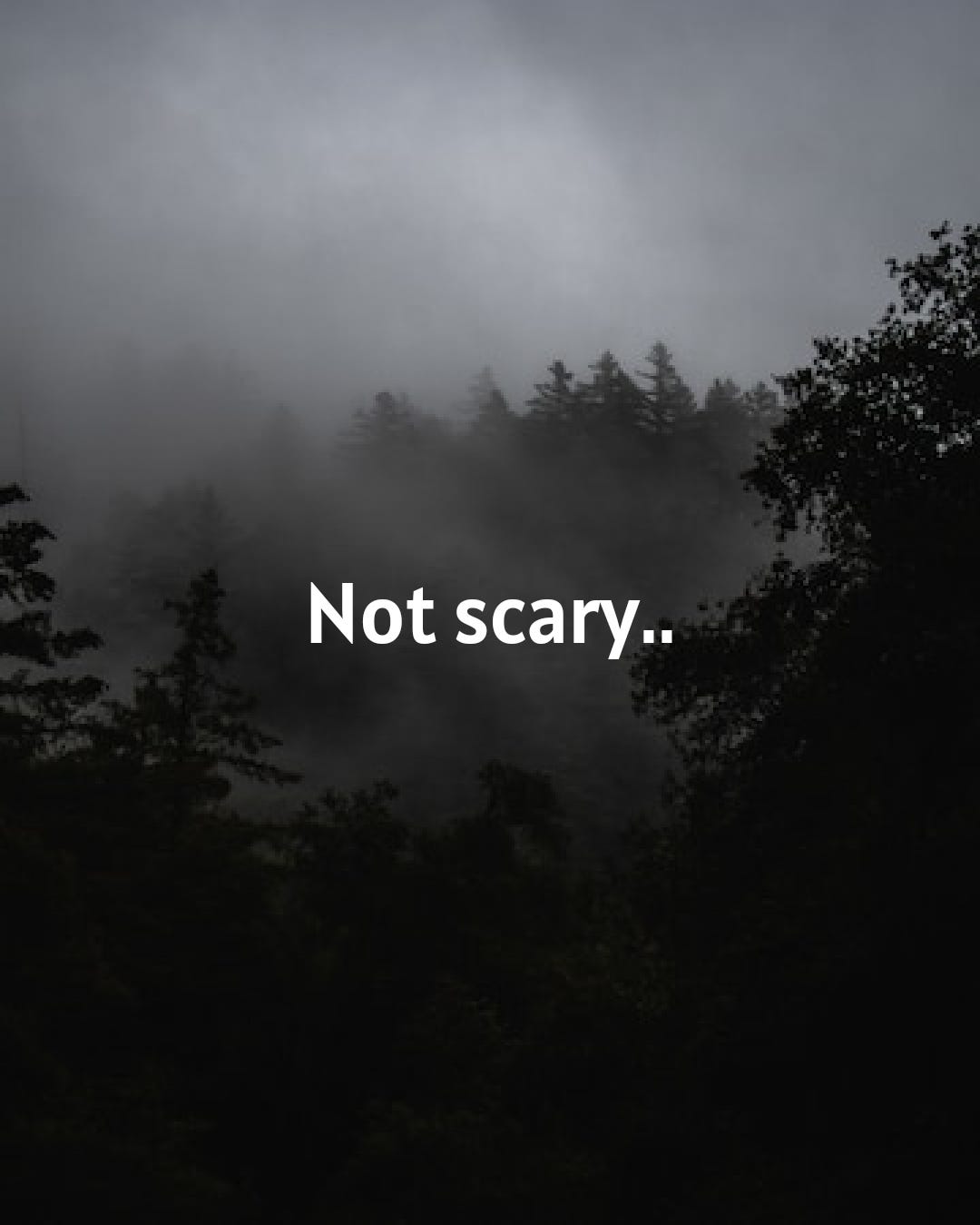 Not scary | by Kingsun Lang | Feb, 2025 | Medium
