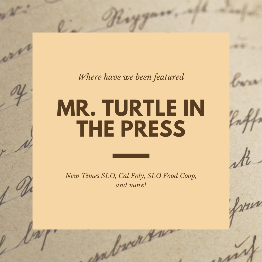 Building Awareness: Mr. Turtle’s PR Journey | by Mr. Turtle | Dec, 2024 ...