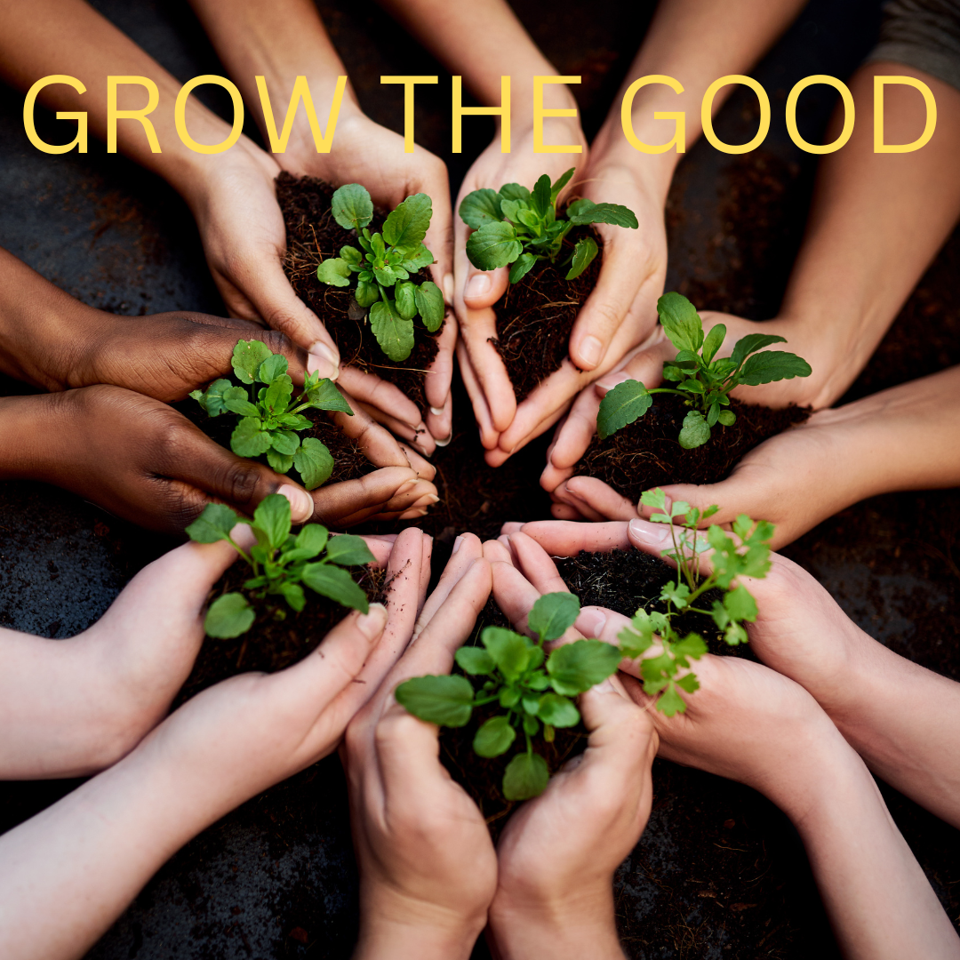 Growing the Good Begins With You | Medium