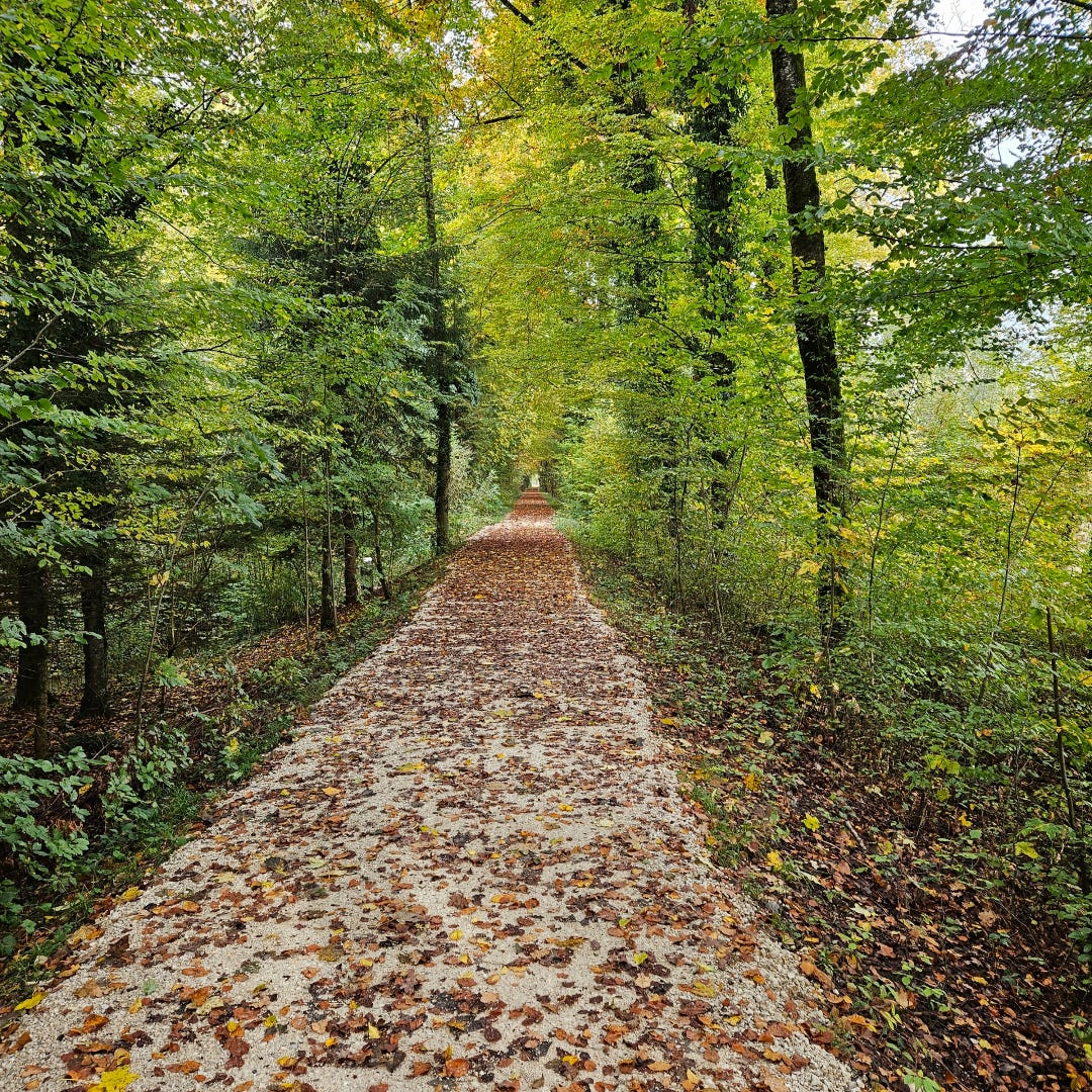 How to Reconnect with Nature: Benefits and Strategies | by Daniel ...