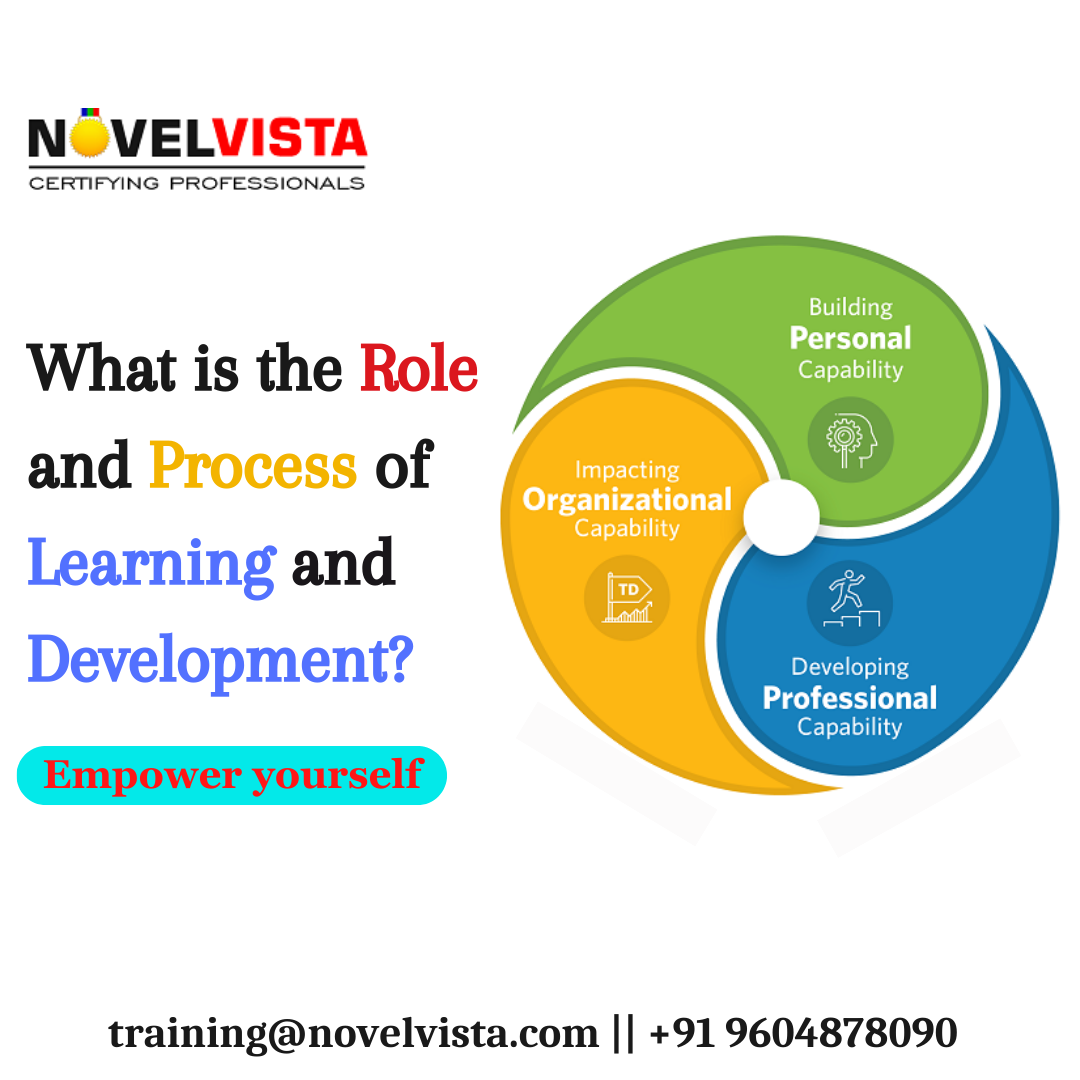 What is the role and process of Learning and Development? | by Emily ...