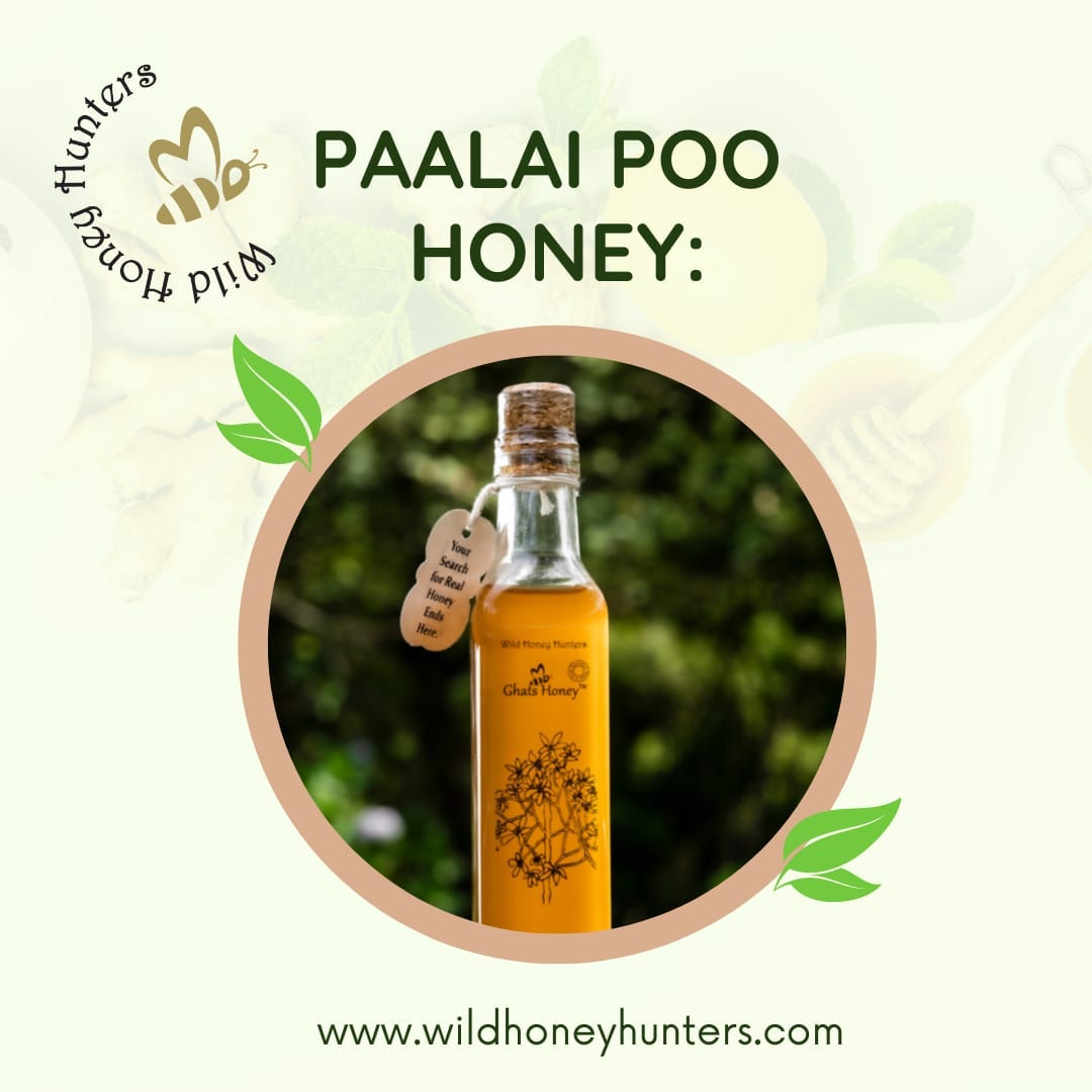 Paalai poo honey-Wild honey hunters | by Wild Honey Hunters | Medium