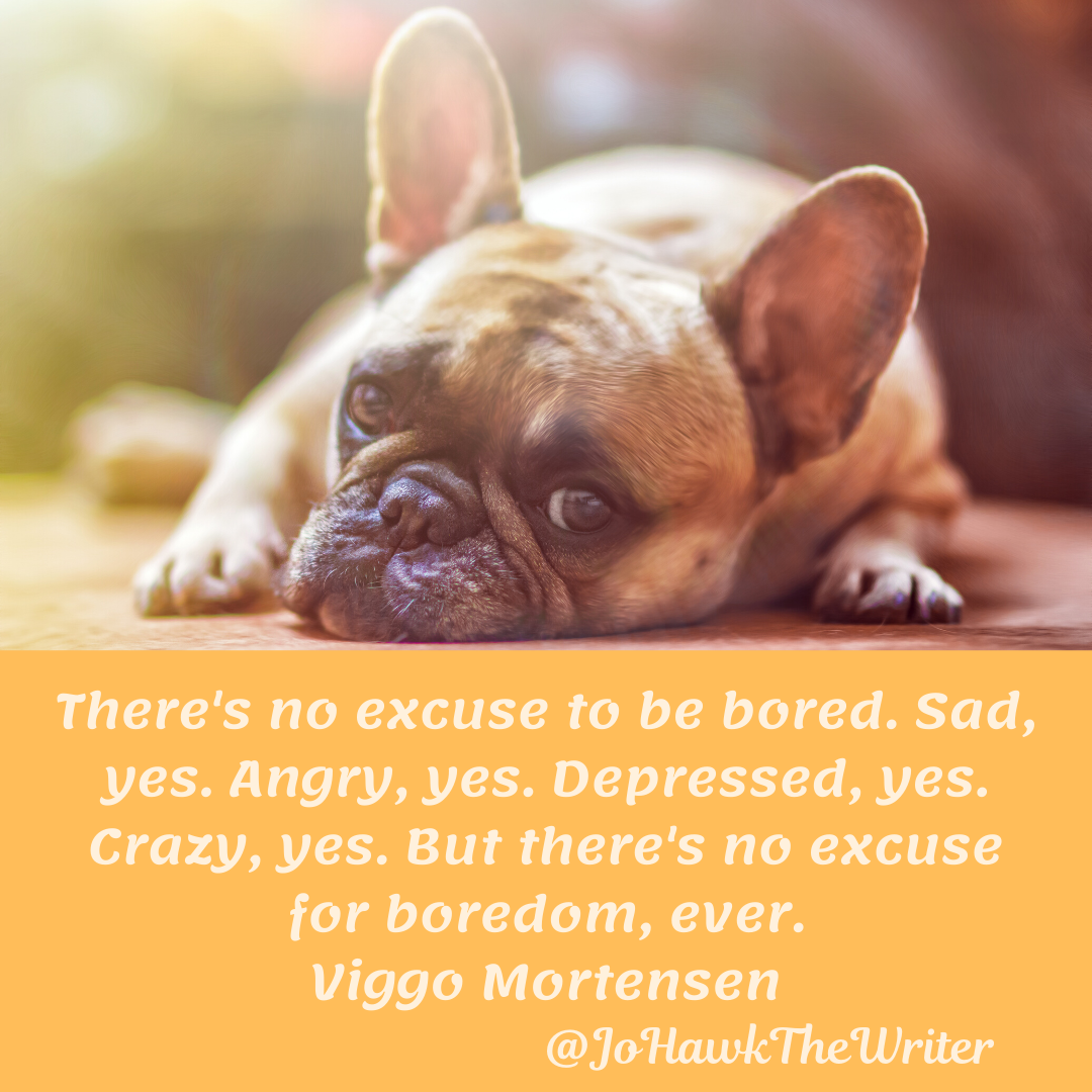 Can Dogs Go Crazy From Boredom