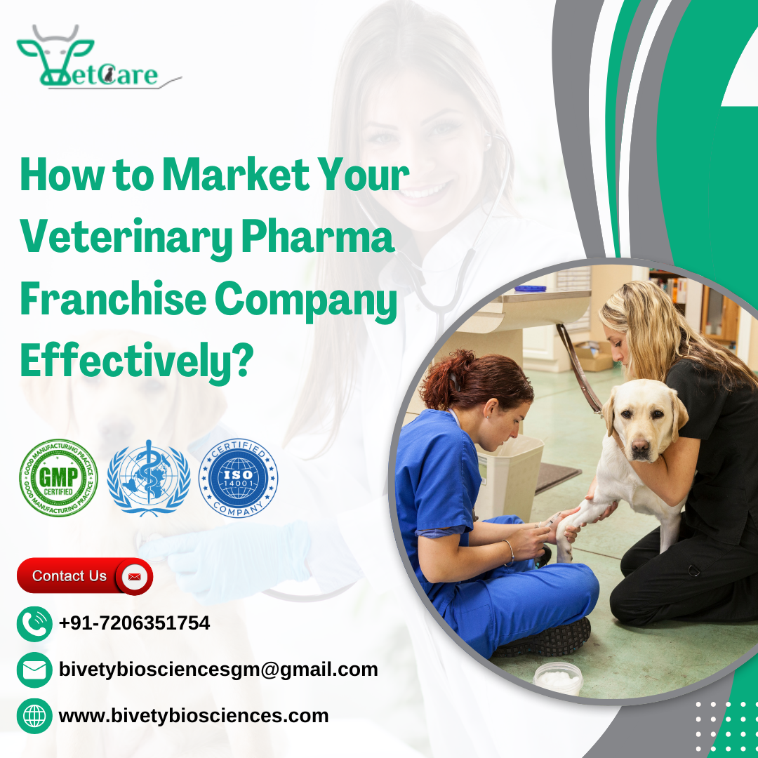 How to Market Your Veterinary Pharma Franchise Company Effectively ...