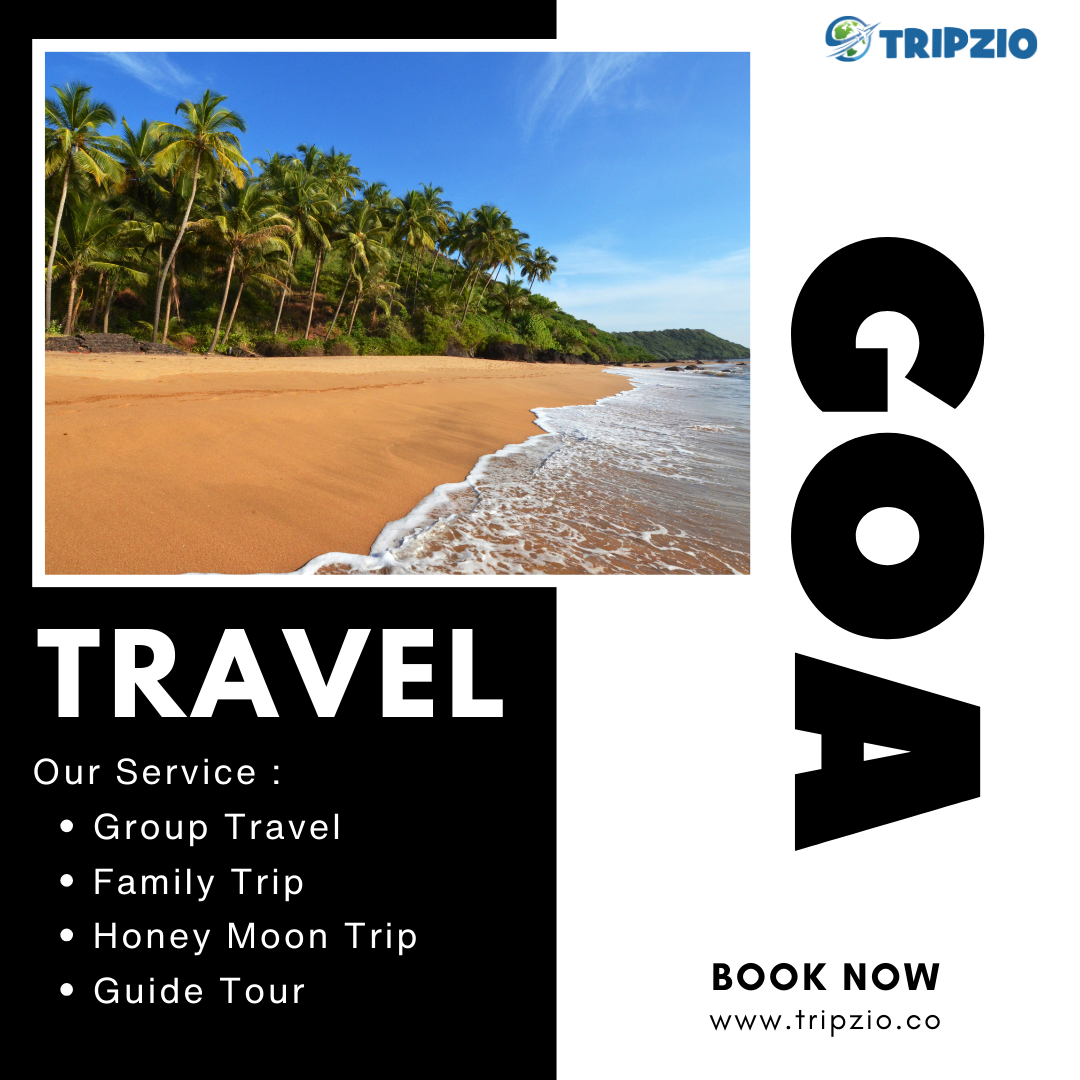 Escape to Goa with Tripzio! - Tripzio - Medium