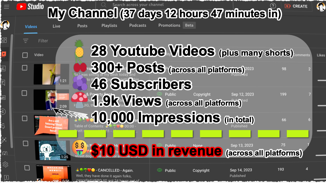 My First Report: After One Month of Becoming a YouTuber | by TechBros ...