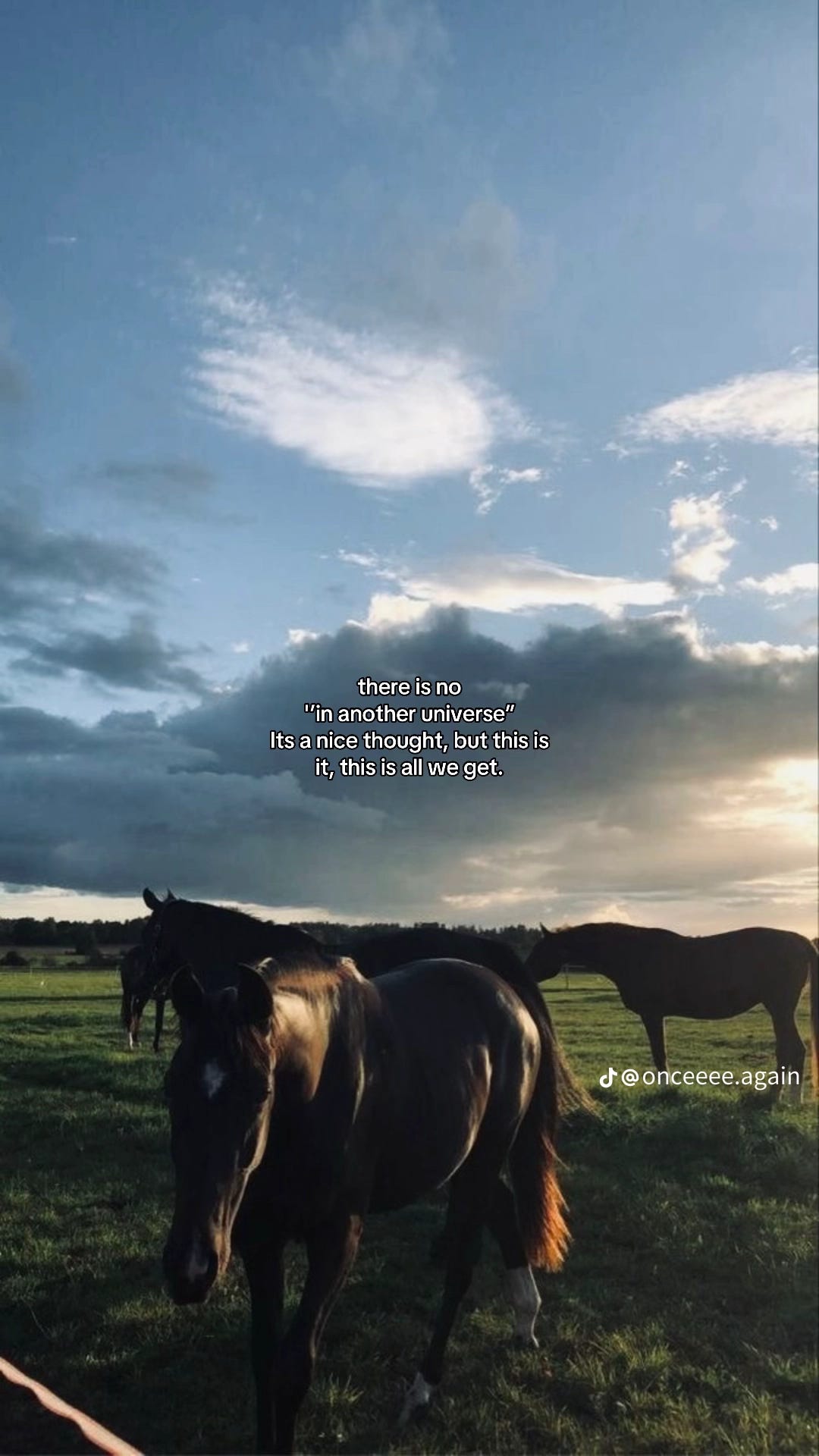 ENDLESS POSSIBILITIES(1) | by pain nagato | Jun, 2025 | Medium