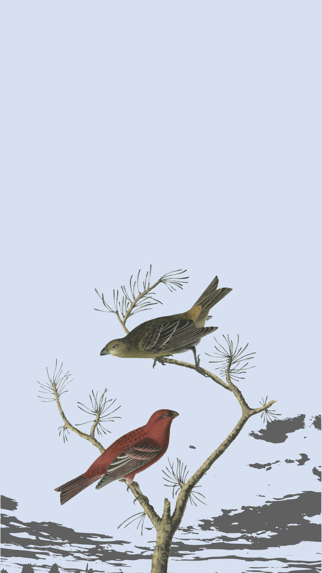 _The Amazing Journey of Bird Development: From Egg to Flight_ | by ...