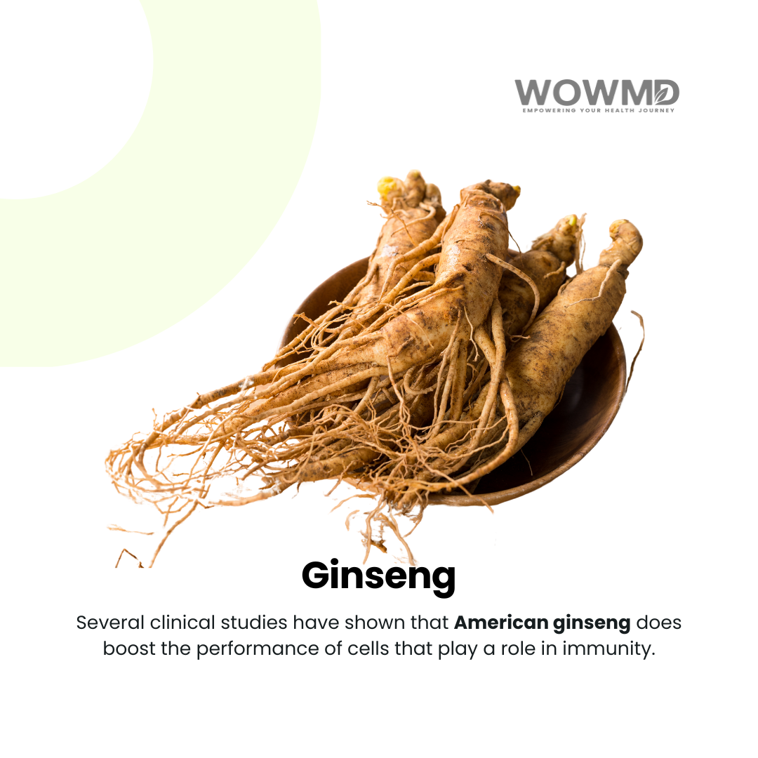 You Won’t Believe How Ginseng Boosts Your Immunity! | by wowmdofficial ...