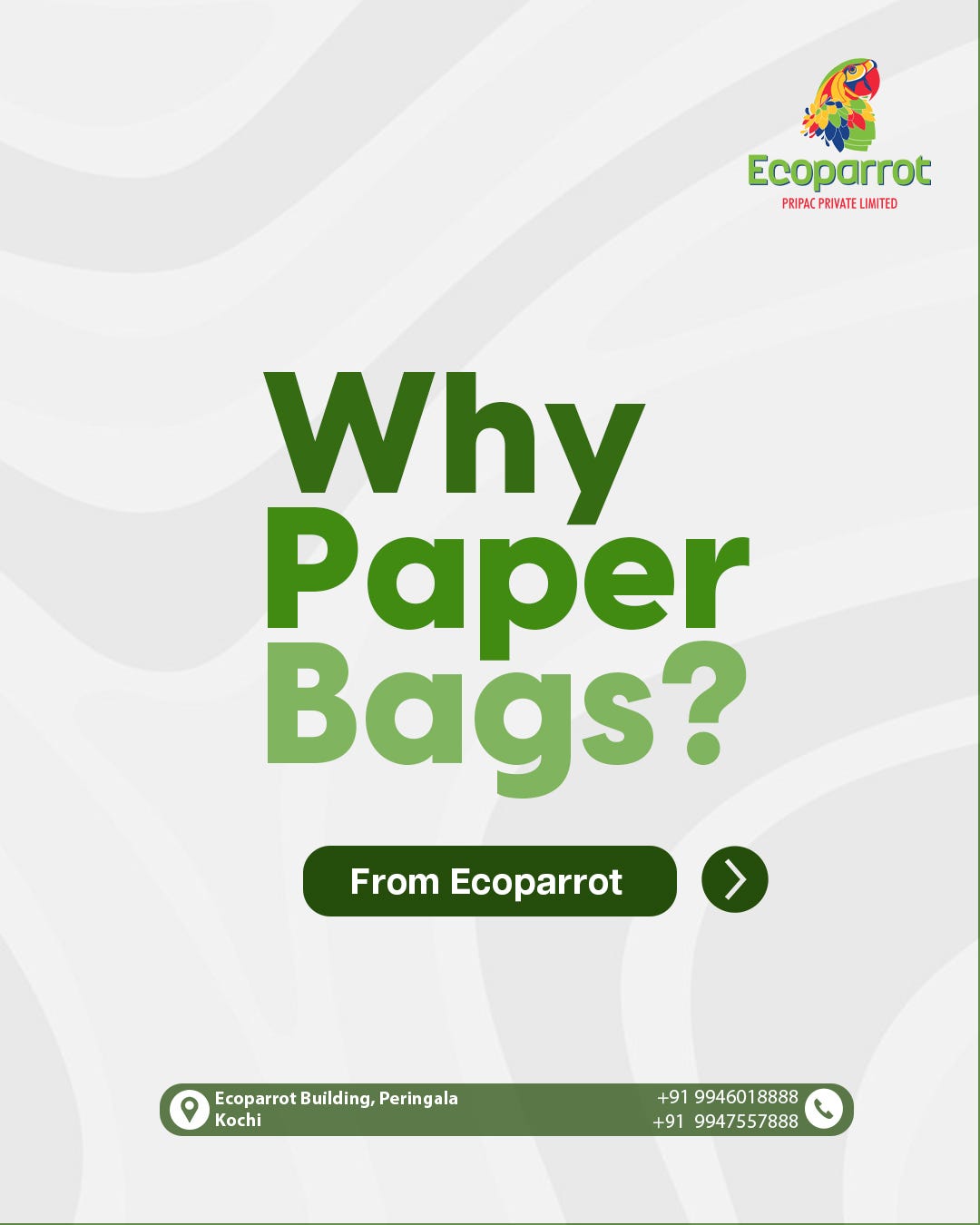 Buy Direct: Factory Paper Bags Without the Middleman | by Ecoparrot ...