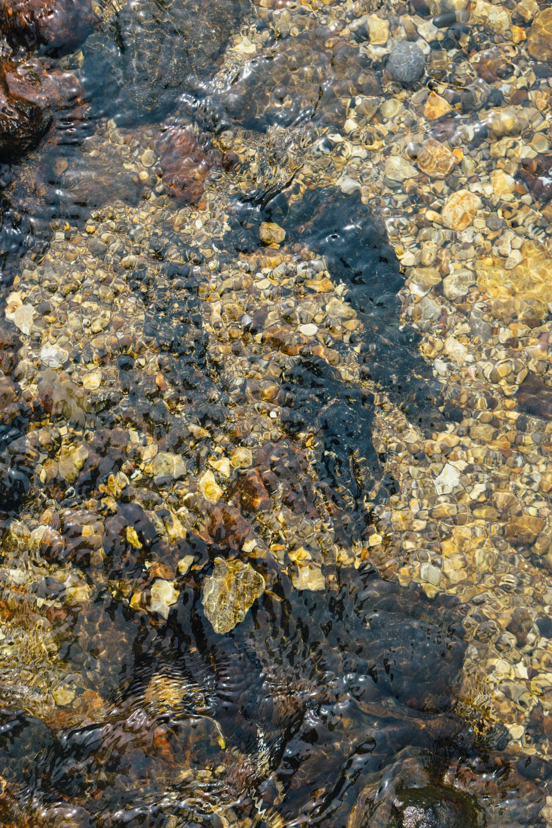 The Amateur Rock Collector’s Guide to Love | Medium