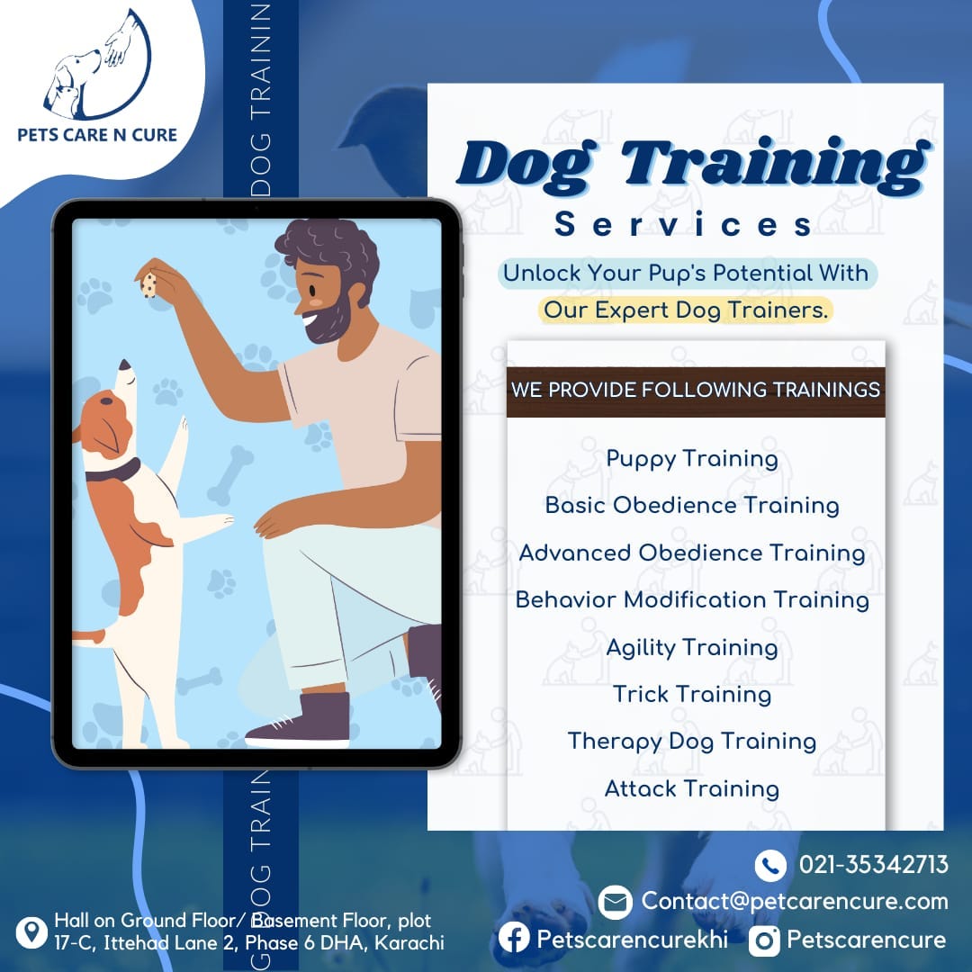 Pet Behavior Training Karachi - Petcarencure - Medium