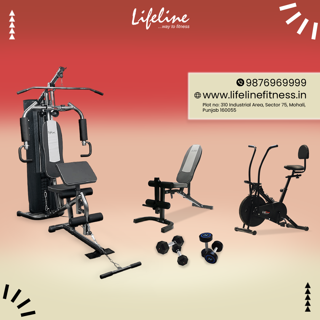 Buy Weight Benches & Power Racks — Lifeline Fitness | Mohali. | by ...